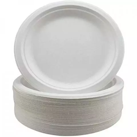 Discount disposable plates store