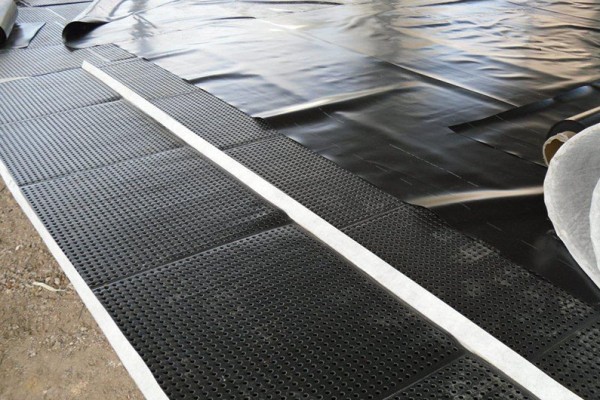 Metal Tree Guard - Pathway